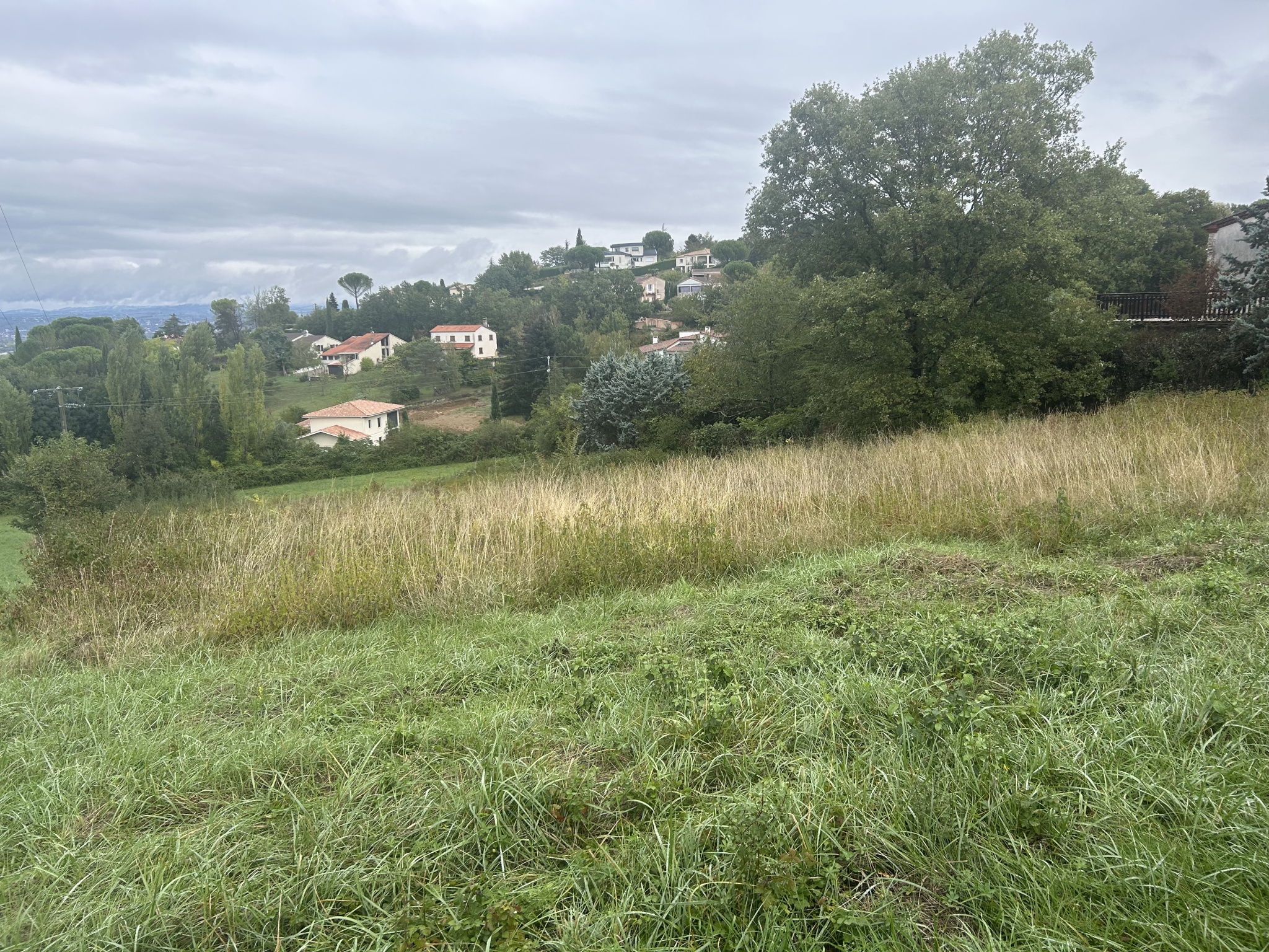 Terrain constructble - 2502 m2 - ALBI - Bages Immobilier